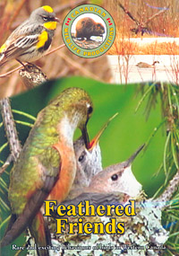 FEATHERED FRIENDS DVD